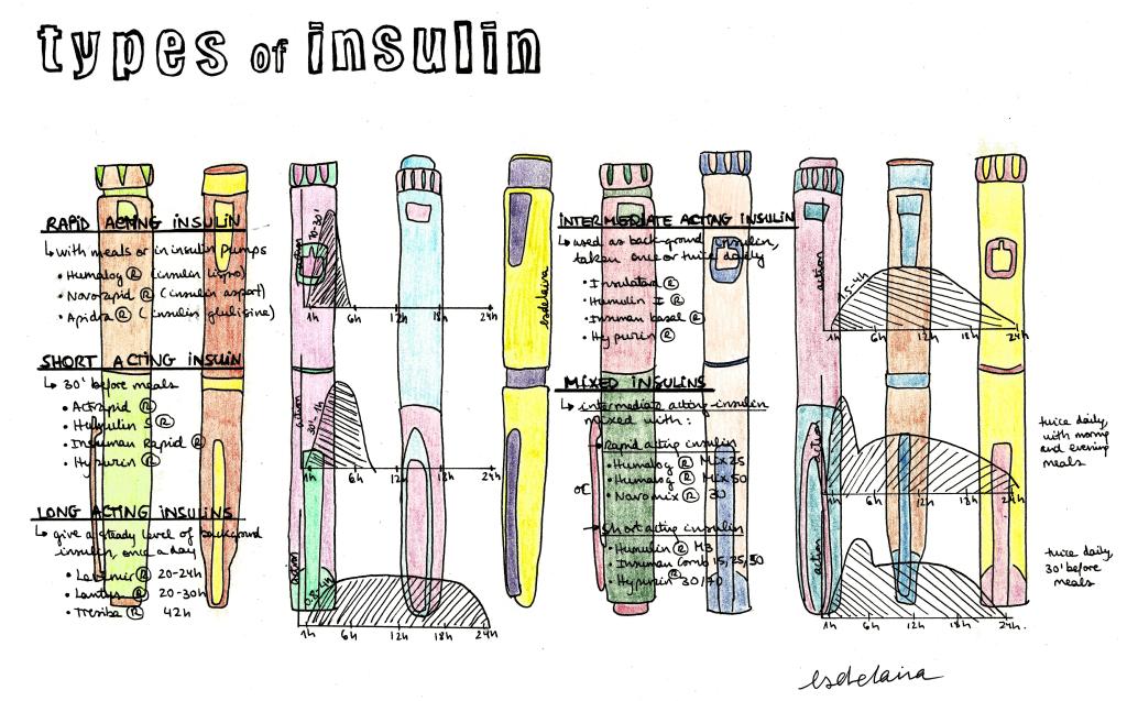 Types of insulin – Arztlogy